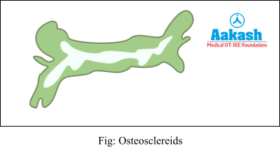 Simple Permanent Tissue, Types & sclerenchyma cells | AESL