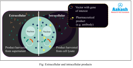 Large Scale Production in DNA Technology & Process | AESL