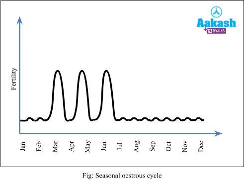 Sexual Reproduction: Overview, Phases & Reproductive Cycles | AESL