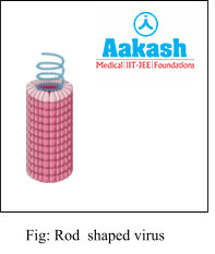 Viruses: Discovery, Characteristics, Structure & Classification | AESL