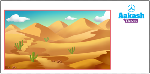 Soil Erosion: Definition, Causes, Prevention & Effects | AESL