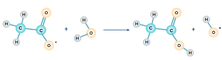 Which Salt undergoes Anionic Hydrolysis & Example | AESL
