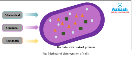 Large Scale Production in DNA Technology & Process | AESL