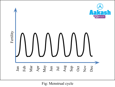 Sexual Reproduction: Overview, Phases & Reproductive Cycles | AESL