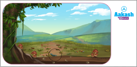 Decomposition: Meaning, Process, Factors & Example | AESL