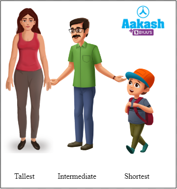 Polygenic Inheritance: Characteristics, Examples, Practice Problems and ...