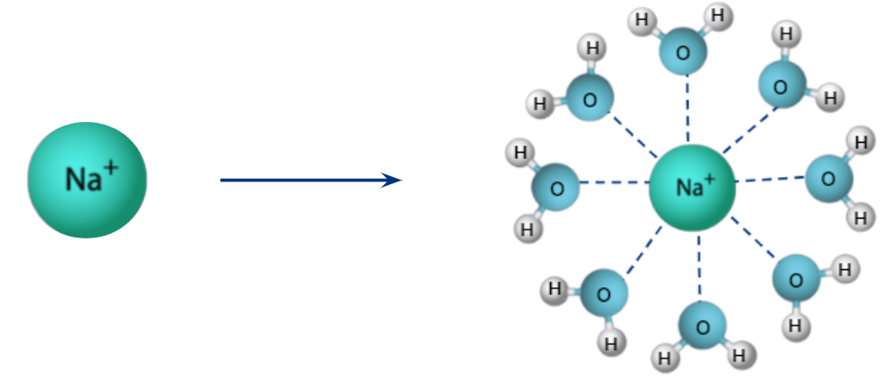 Which Salt undergoes Anionic Hydrolysis & Example | AESL