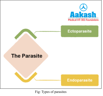 Parasitism Classification, Life cycle, Brood parasitism & Commensalism ...