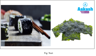 Algae: Characteristics, Reproduction & Evolution | AESL