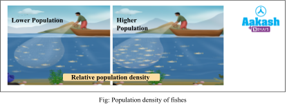 Population Attributes Density, Meaning, Examples, Birth & Death Rate | AESL