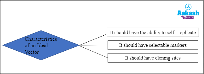 Cloning Vector: Definition, Types, Characteristics & Diagram | AESL