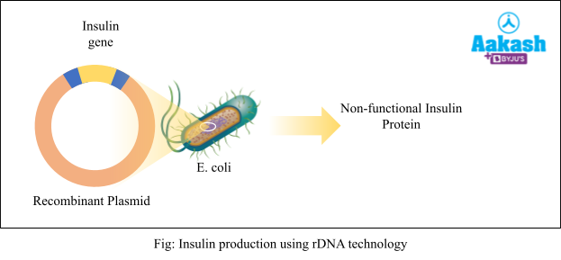 Gene Therapy Types, Genetically Engineered Insulin & Molecular Diagnosis | AESL