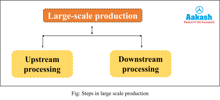 Large Scale Production in DNA Technology & Process | AESL