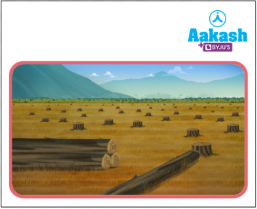 Soil Erosion: Definition, Causes, Prevention & Effects | AESL