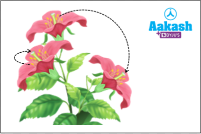Sexual Reproduction in Flower Plants Advantages | AESL