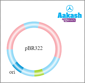 Cloning Vector: Definition, Types, Characteristics & Diagram | AESL
