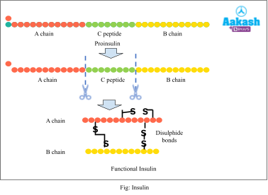 Gene Therapy Types, Genetically Engineered Insulin & Molecular ...