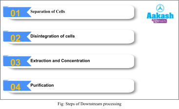 Large Scale Production in DNA Technology & Process | AESL