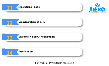 Large Scale Production in DNA Technology & Process | AESL