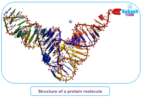Classification of Polymers: Structure, Uses & Examples | AESL