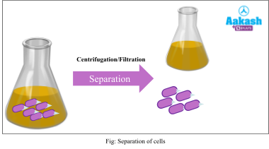 Large Scale Production in DNA Technology & Process | AESL