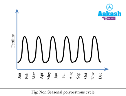 Sexual Reproduction: Overview, Phases & Reproductive Cycles | AESL