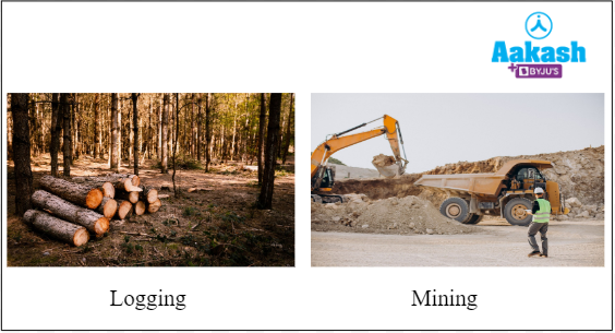 Soil Erosion: Definition, Causes, Prevention & Effects | AESL