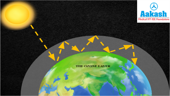 Ozone Layer: Depletion, Formation & Causes | AESL