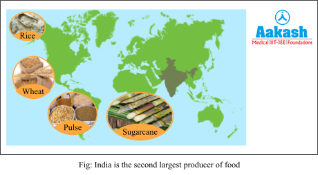 Plant Breeding: Definition, Steps, Methods & Parbhani Kranti | AESL