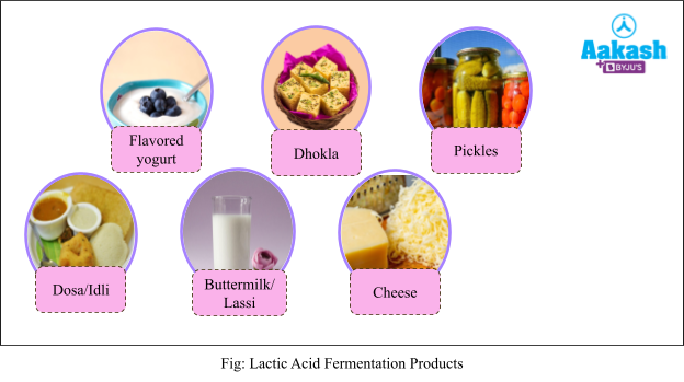 Bacteria & Fungi in Household Products | AESL