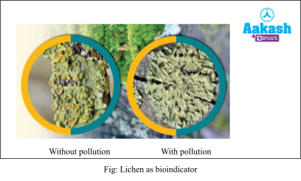 Classification of lichens, Characteristics of Viroids & Prions | AESL