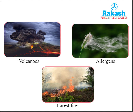 What is Pollution? and Its Types | AESL