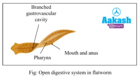 in : Definition, Types and Importance | AESL