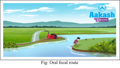 Common Diseases in Humans: Types & Symptoms | AESL