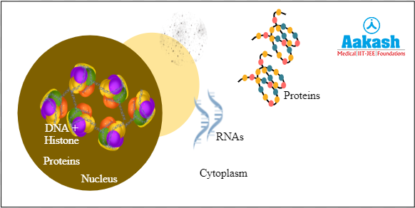 Recombinant DNA Technology: Diagram & Upstream Processing | AESL