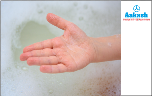 Plasmolysis in Biology: Definition, Types and Importance | AESL