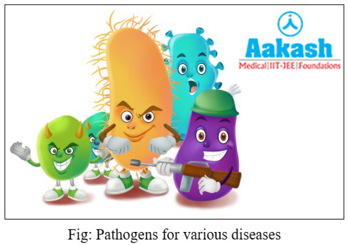 Syphilis: Causative Agent, Symptoms, Diagnosis, Treatment and ...