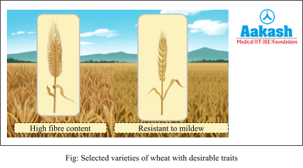 Plant Breeding: Definition, Steps, Methods & Parbhani Kranti | AESL