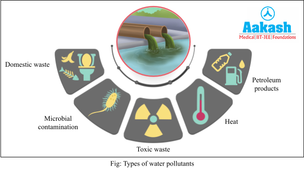 Water Pollution Types, Effects, Wastewater Treatment & Its Control ...