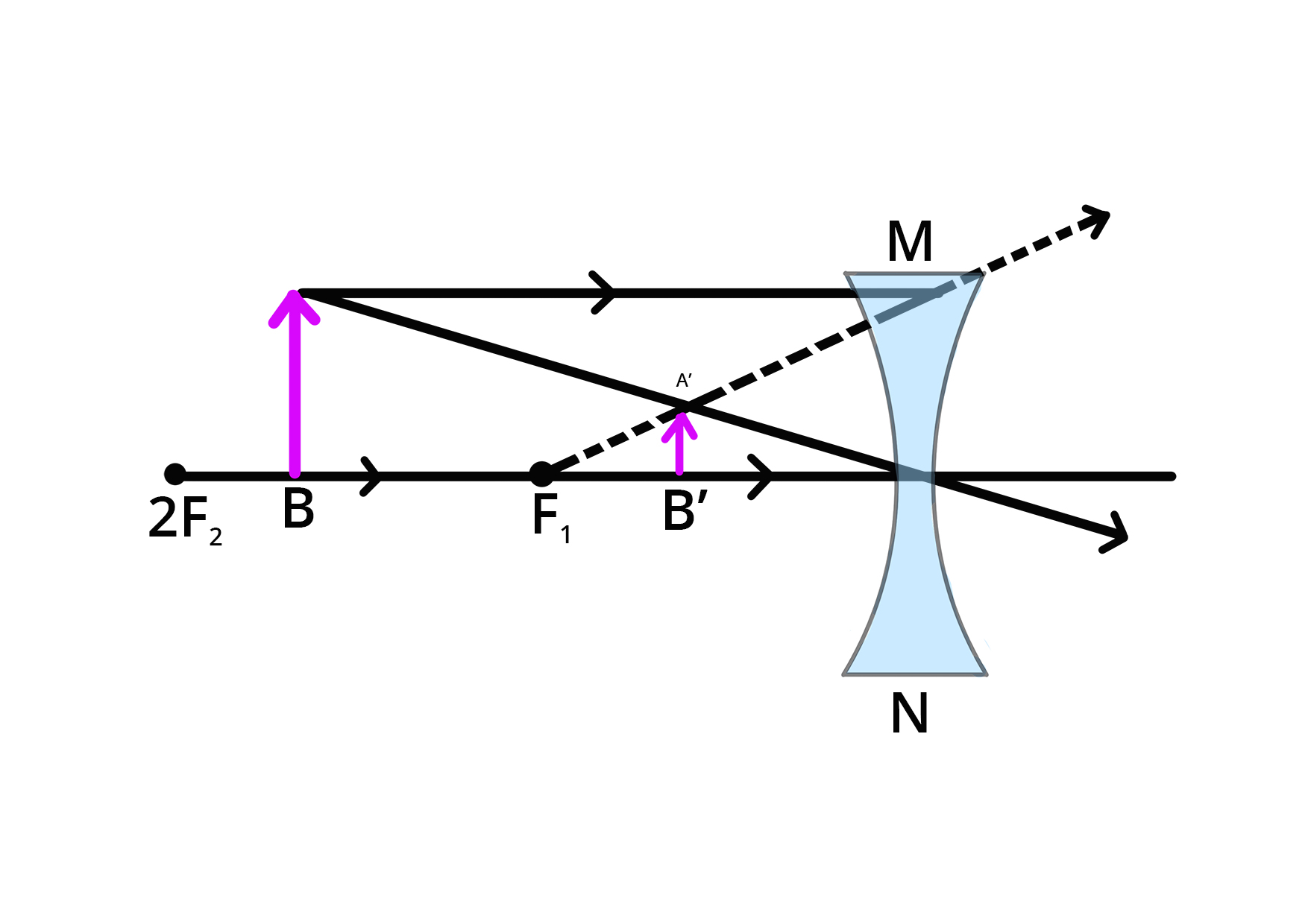 What are concave and convex lenses? Definition, Types and Importance ...